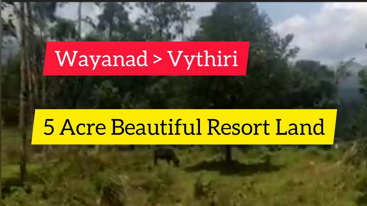 5 Acre Beautiful Resort Land For Sale | Vythiri | Wayanad - YouTube