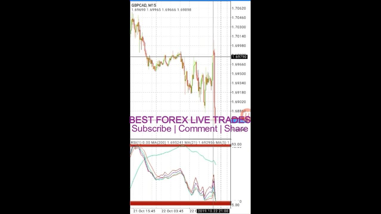 💰💰Fundamental Pip Lord ESCALPANDO 2 FOREX TRADING STRATEGY - YouTube