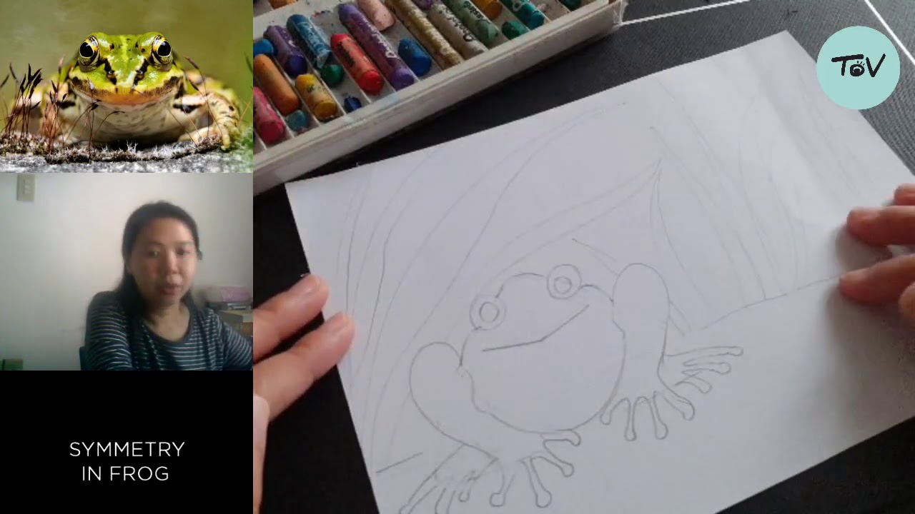 Symmetry in Frog - YouTube