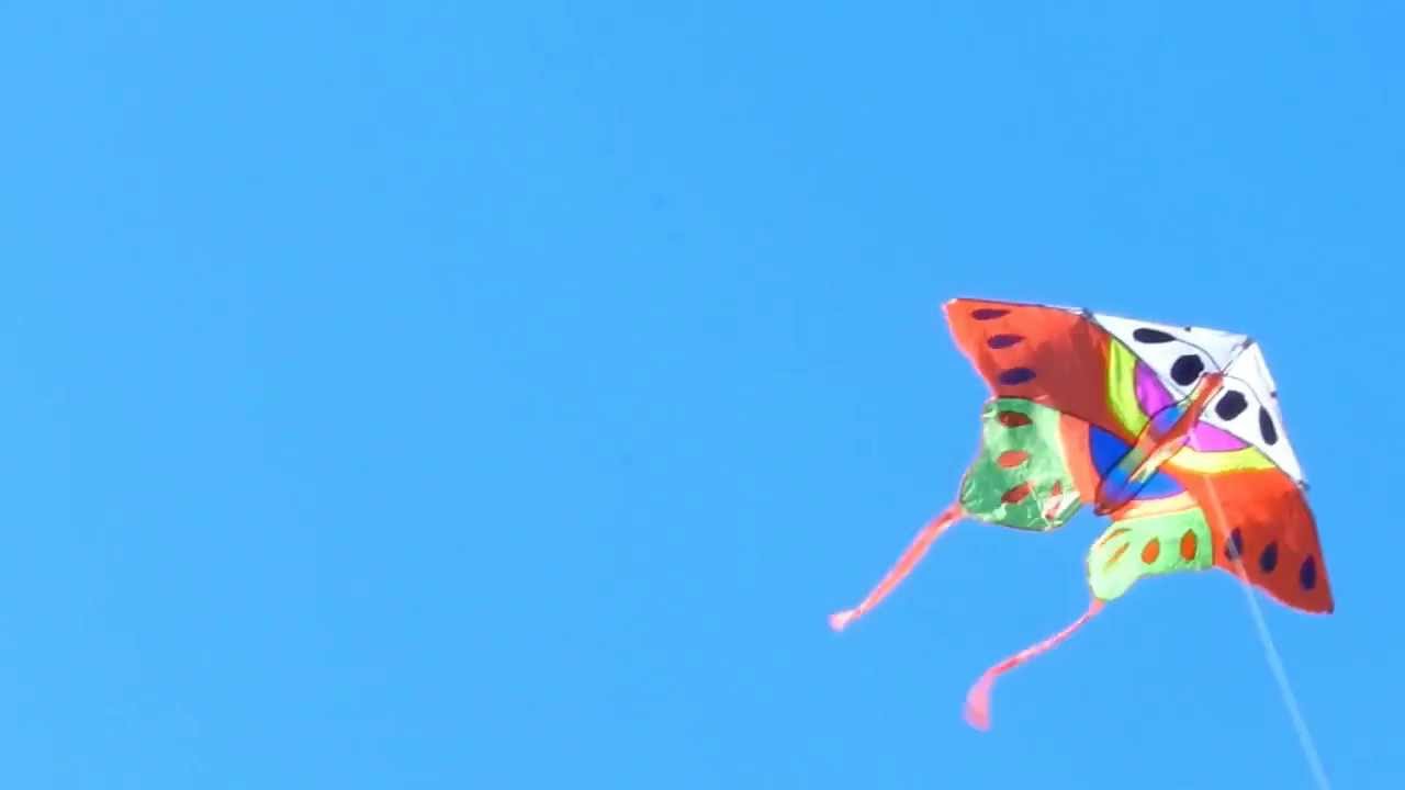 Bee Kite Multicolor Butterfly - Single Line Kites for children 210 x ...