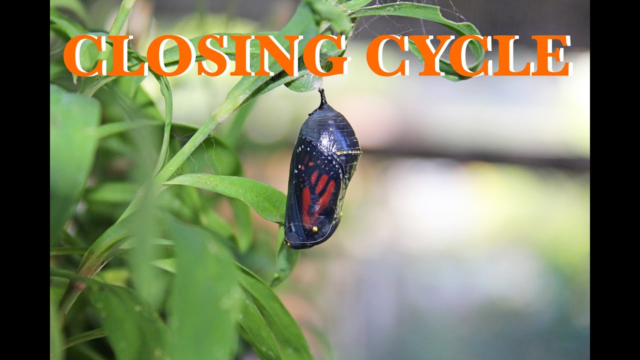 Closing cycle with someone you've been losing sleep over - YouTube