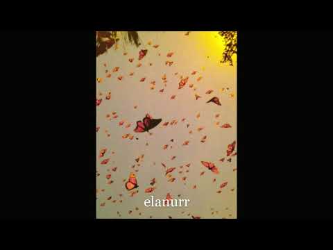 Funda Arar - Hafıza (slowed+reverb)