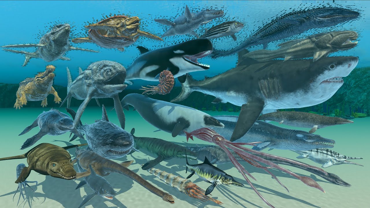 Realistic Extinct Marine Animals Weight Comparison - 3D Animation ...