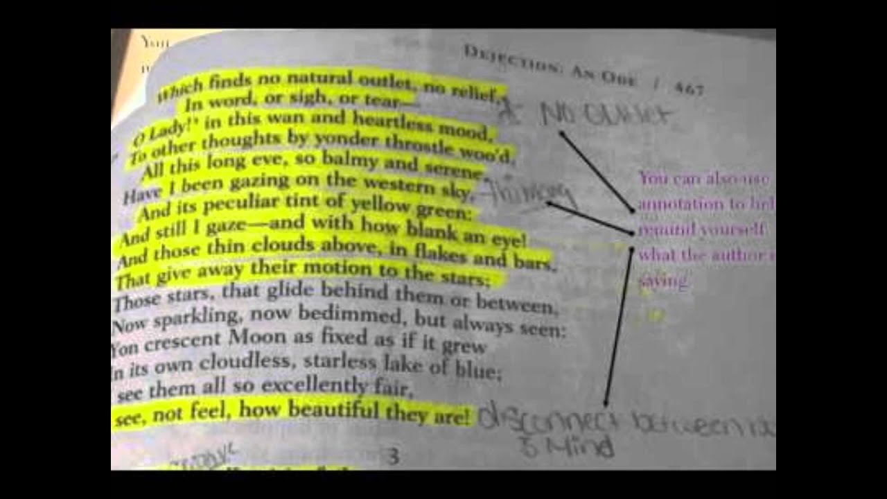 Haleigh Phillips "A New Profound Passion" - YouTube