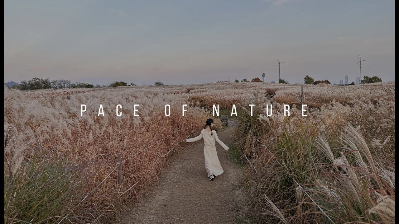 [ASMR] PACE OF NATURE - Contemporary Dance Clips | Haneul Park(Sky Park) | 하늘공원 | Seoul, South ...