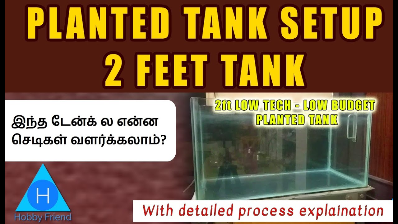 2 feet Planted Tank Setup | Low Budget | Low Tech | Non CO2 - Part 1 ...