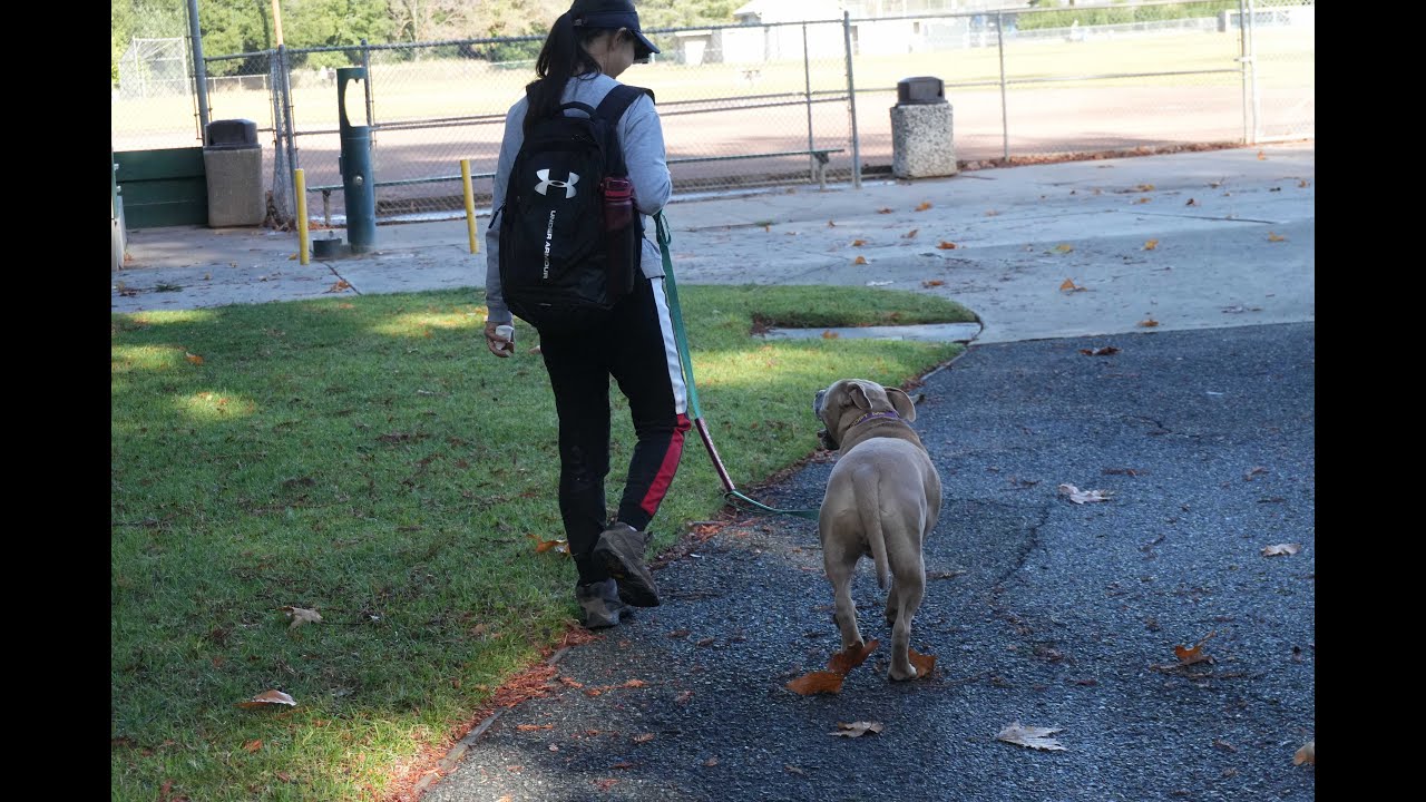 Goodbye Jonathan - YouTube