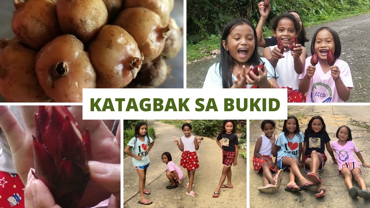 KATAGBAK SA BUKID | BUHAY PROBINSYA KASAMA MGA BATA - YouTube
