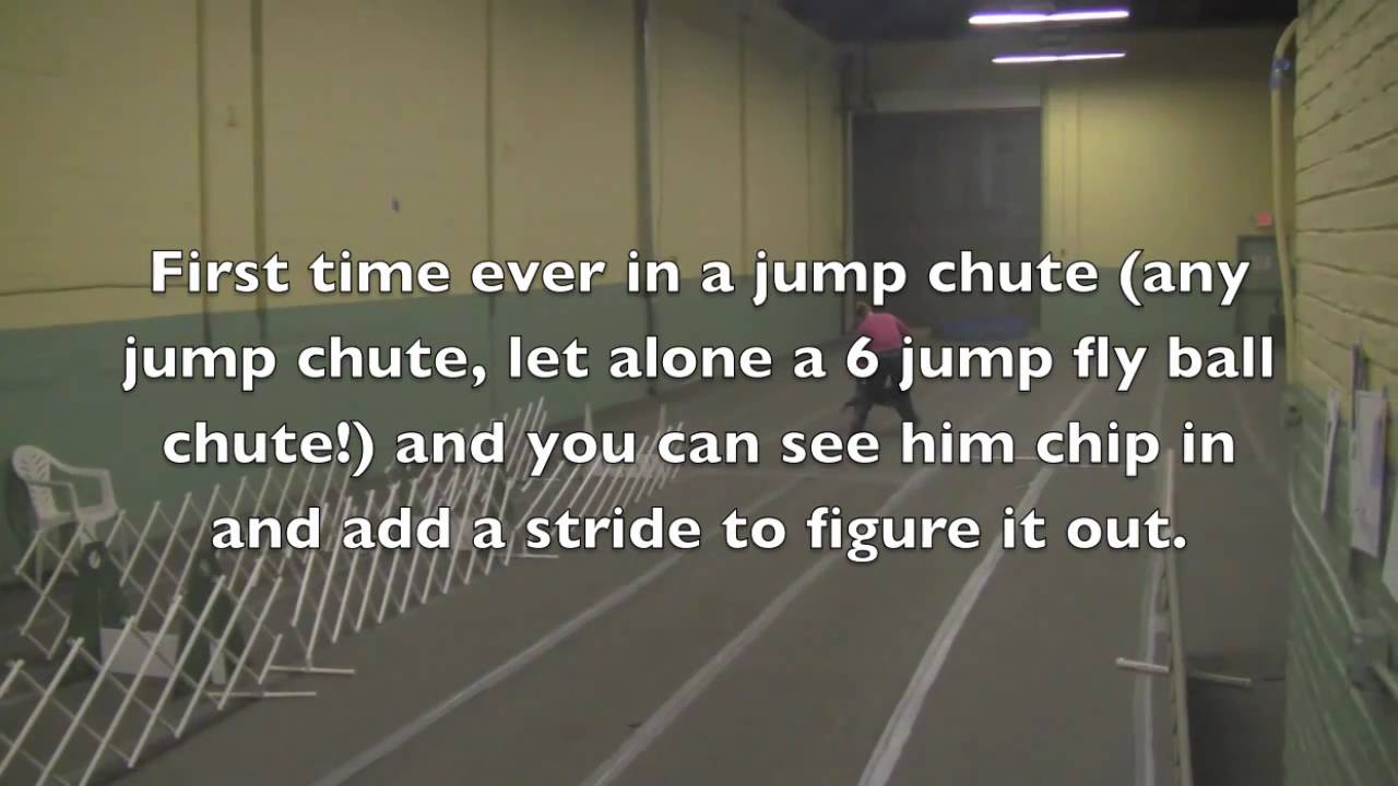 Griff's First Fly Ball Jump Chute - YouTube