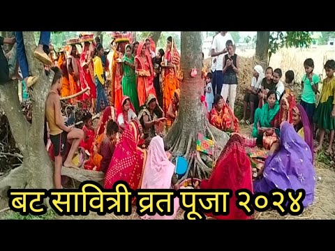 बट सावित्री व्रत पूजा/bat sabitri brat puja 2024 /How is Bat Savitri ...