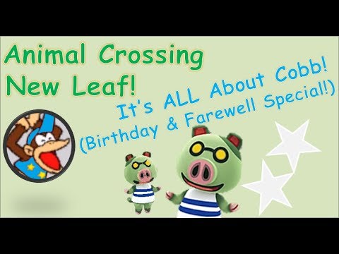 Animal Crossing New Leaf! It's ALL About Cobb! (Birthday & Farewell ...