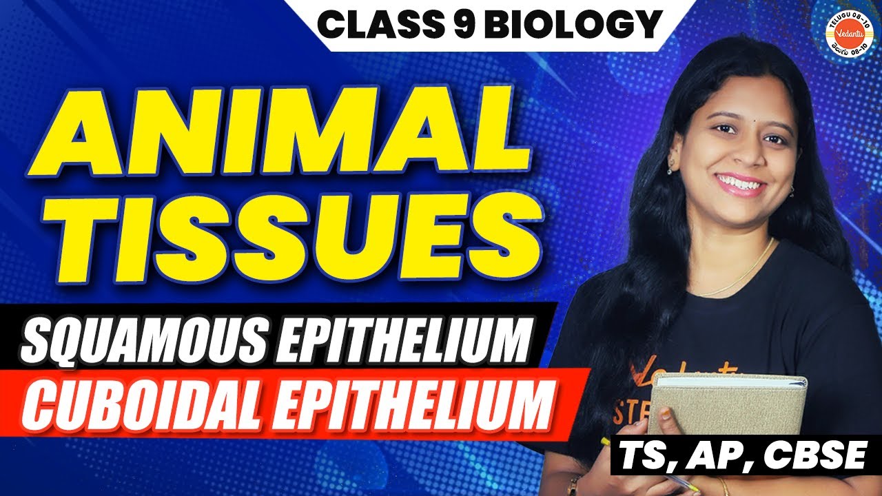 Animal Tissues | *Squamous Epithelium * Cuboidal Epithelium | Class 9 ...