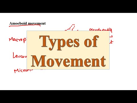 Locomotion and Movements (Types of movements) Part-1 - YouTube