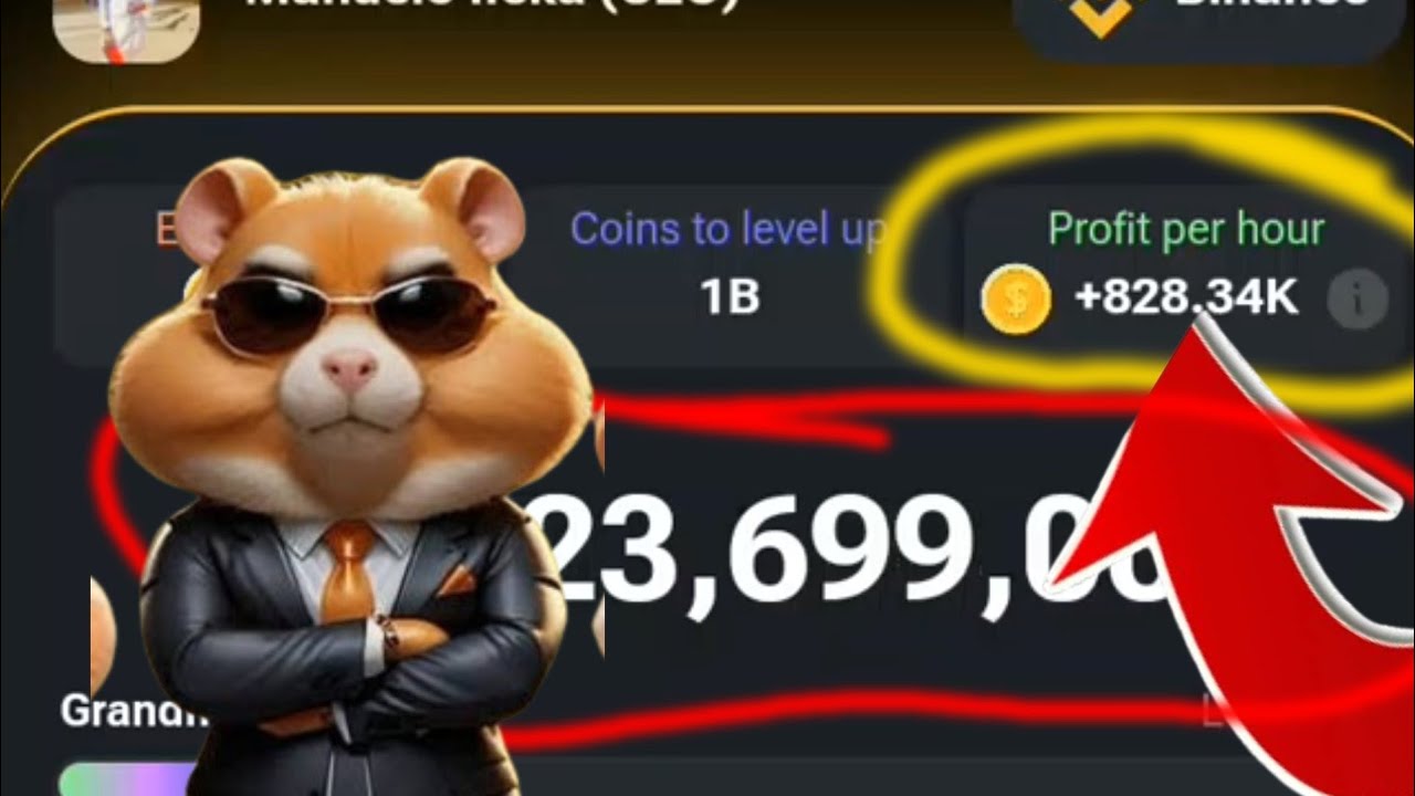 Hamster Kombat profit per Payment explained like abc - YouTube