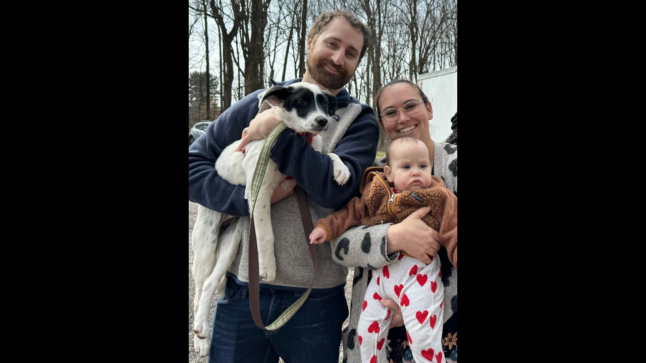 CANINE HUMANE NETWORK S - YouTube