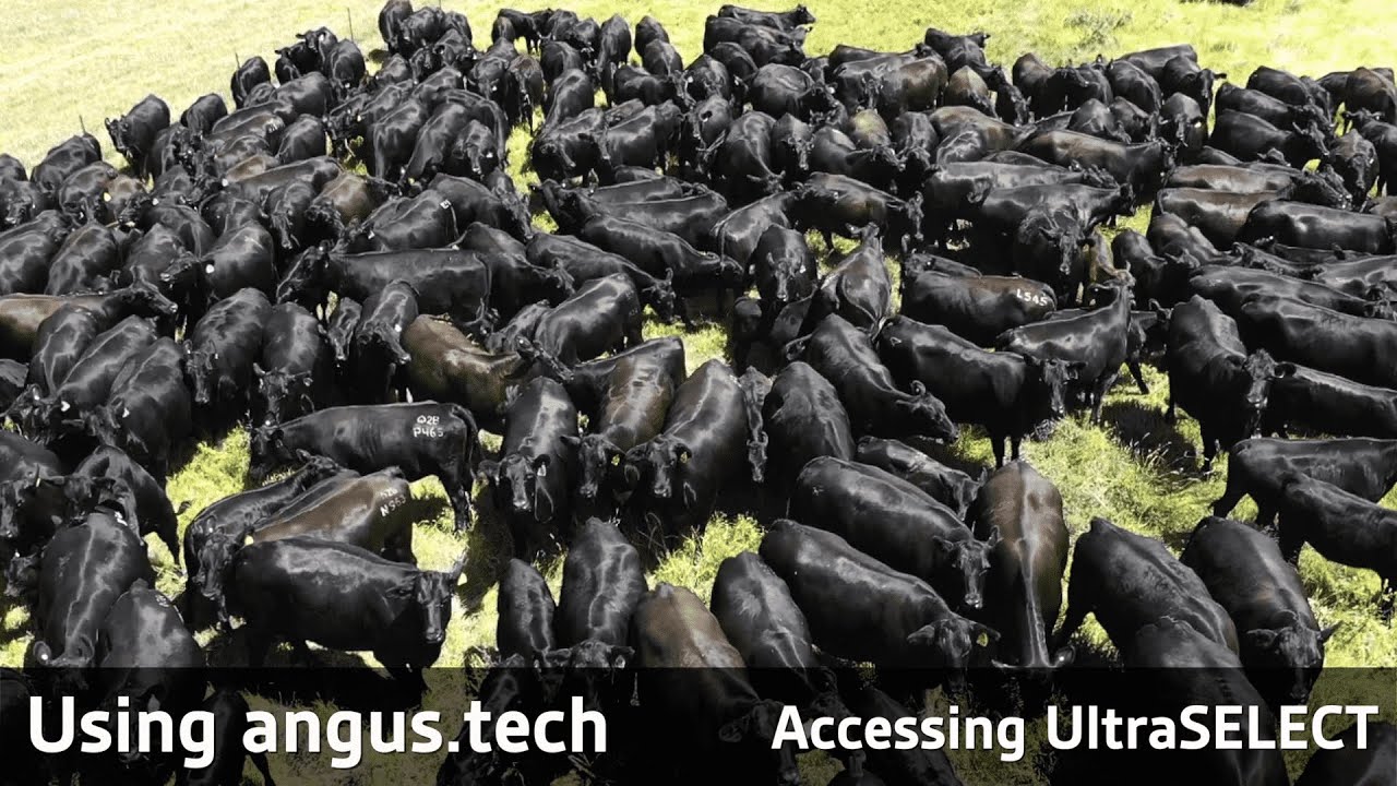 ACCESSING UltraSELECT - YouTube