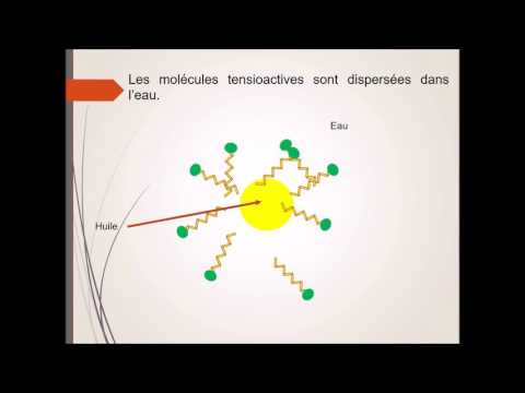 Formation des micelles