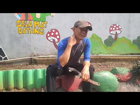 TIPS MENYEMBELIH HEWAN QURBAN AGAR DAGINGNYA EMPUK DAN TIDAK TERLALU BAU