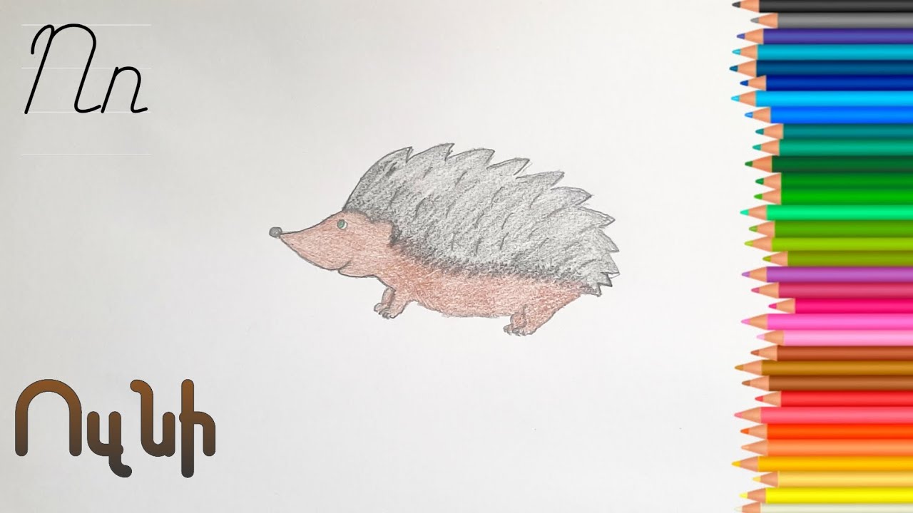 Ո տառ - Ոզնի։ Սովորենք տառերը հեշտ՝ նկարելով։ /Drawing Hedgehog ...
