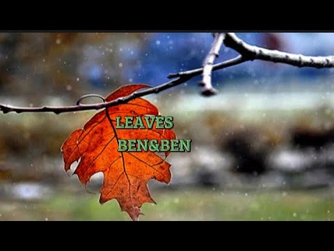 Leaves - Ben&Ben (Lyrics Video) - YouTube