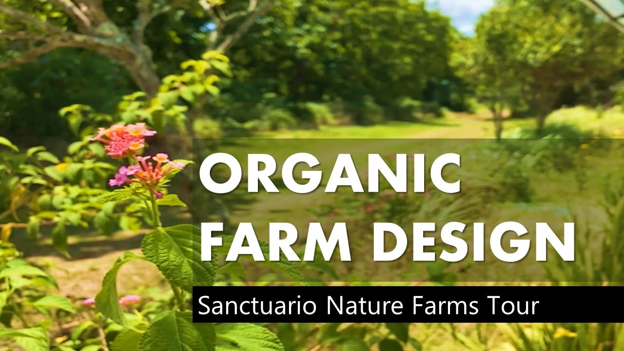 Organic Farm Design - Sanctuario Nature Farms Cavite | farm design เมนู ...