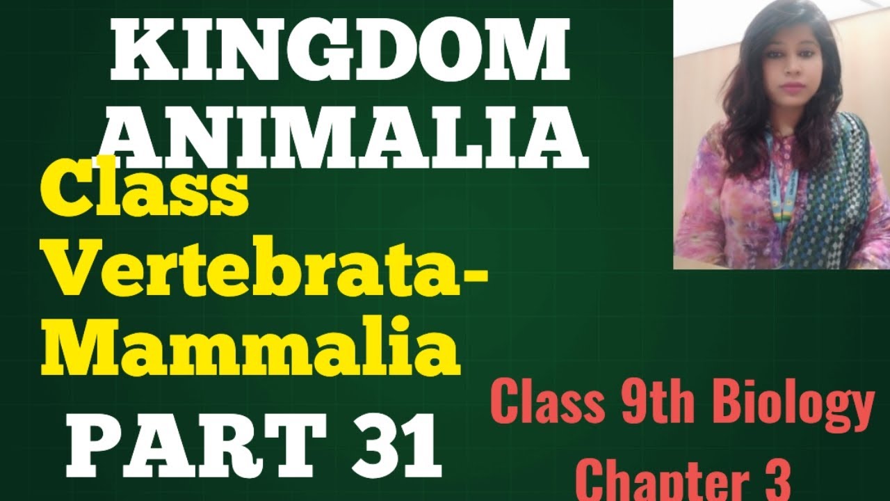KINGDOM ANIMALIA (Class vertebrata-Mammalia) || Chapter 3,Class 9 ...