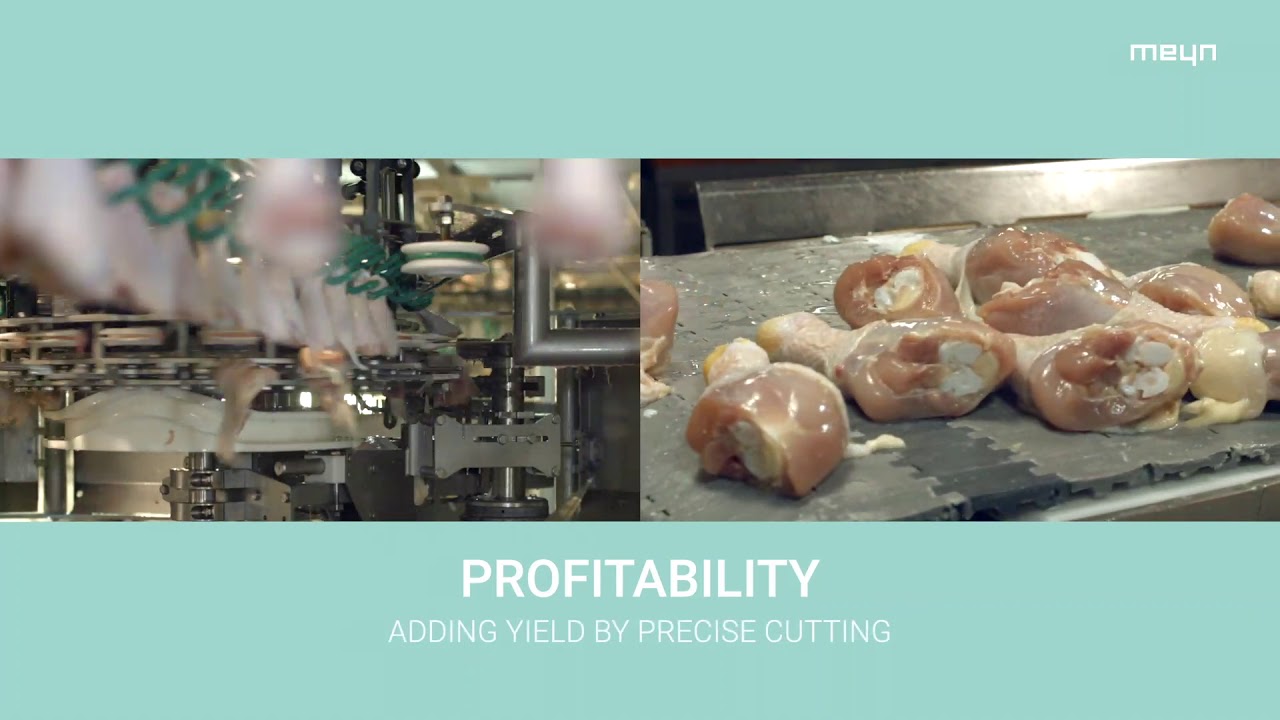 Meyn® Quality grading system M2.0 and Cut up line M3.0 - YouTube
