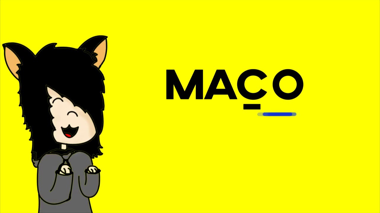 Maço - Shy cat - YouTube