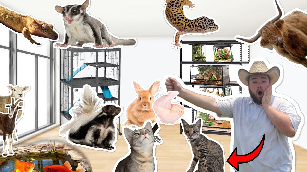 All of my EXOTIC pets in one video (complete pet room and property tour ...