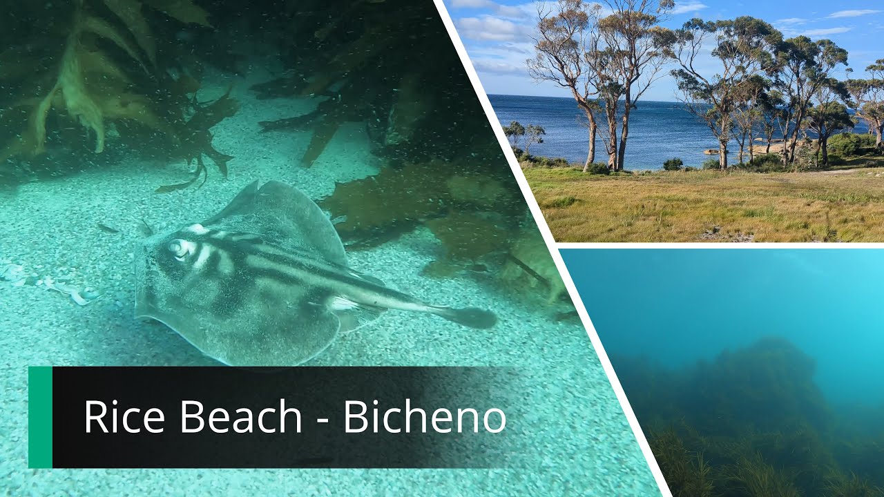 Rice Beach - Bicheno, Tasmania - Combined Clubs Weekend 2023 - YouTube