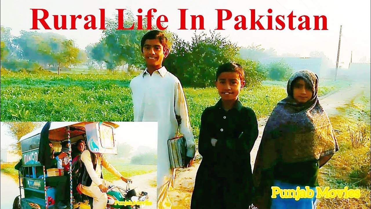 Village Life In Pakistan | Punjab Village Morning | Pakistan Rural Life ...