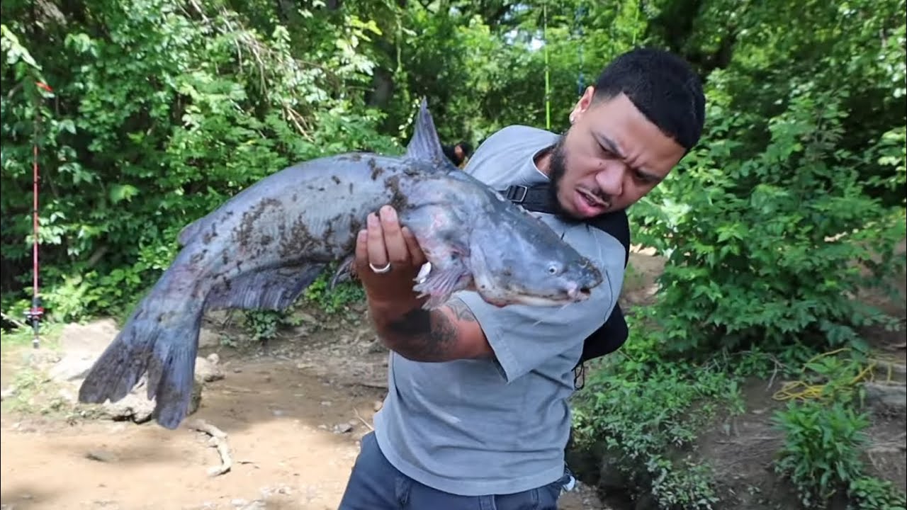 CRAZY catfish catch and cook! [MUST SEE] - YouTube