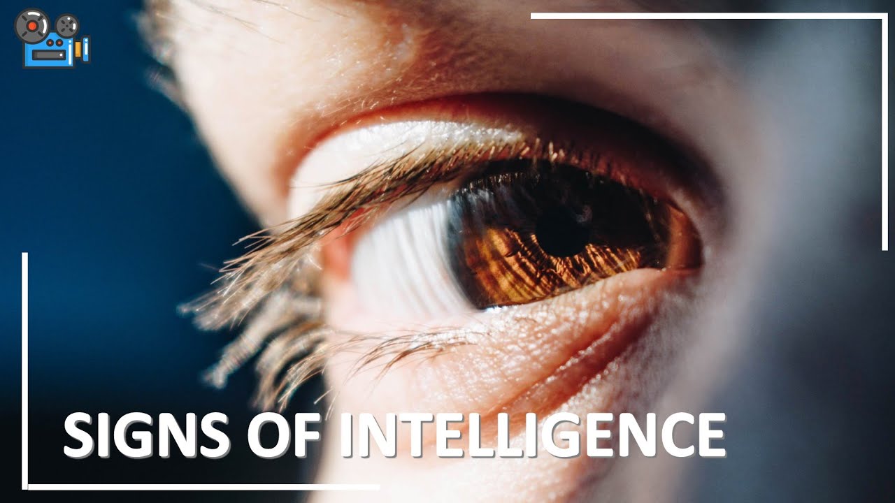 Signs of Intelligence - YouTube