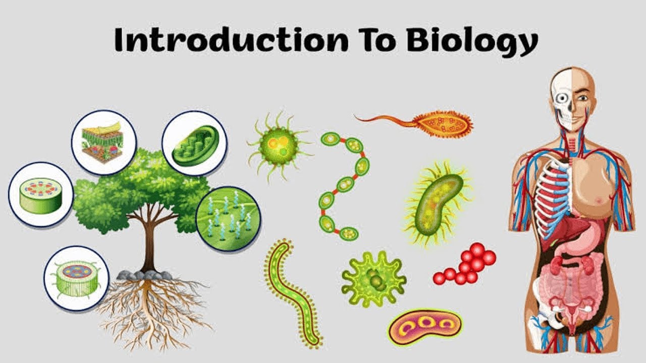 Introduction to Biology - YouTube