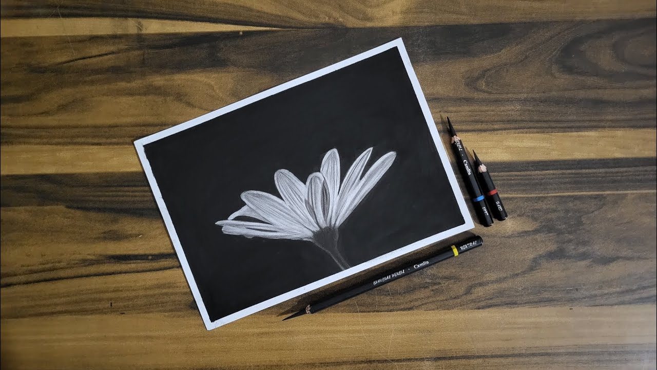 Flower 🌼 Drawing ️ with Camlin charcoal pencils ️ || @Artist_Savan ...