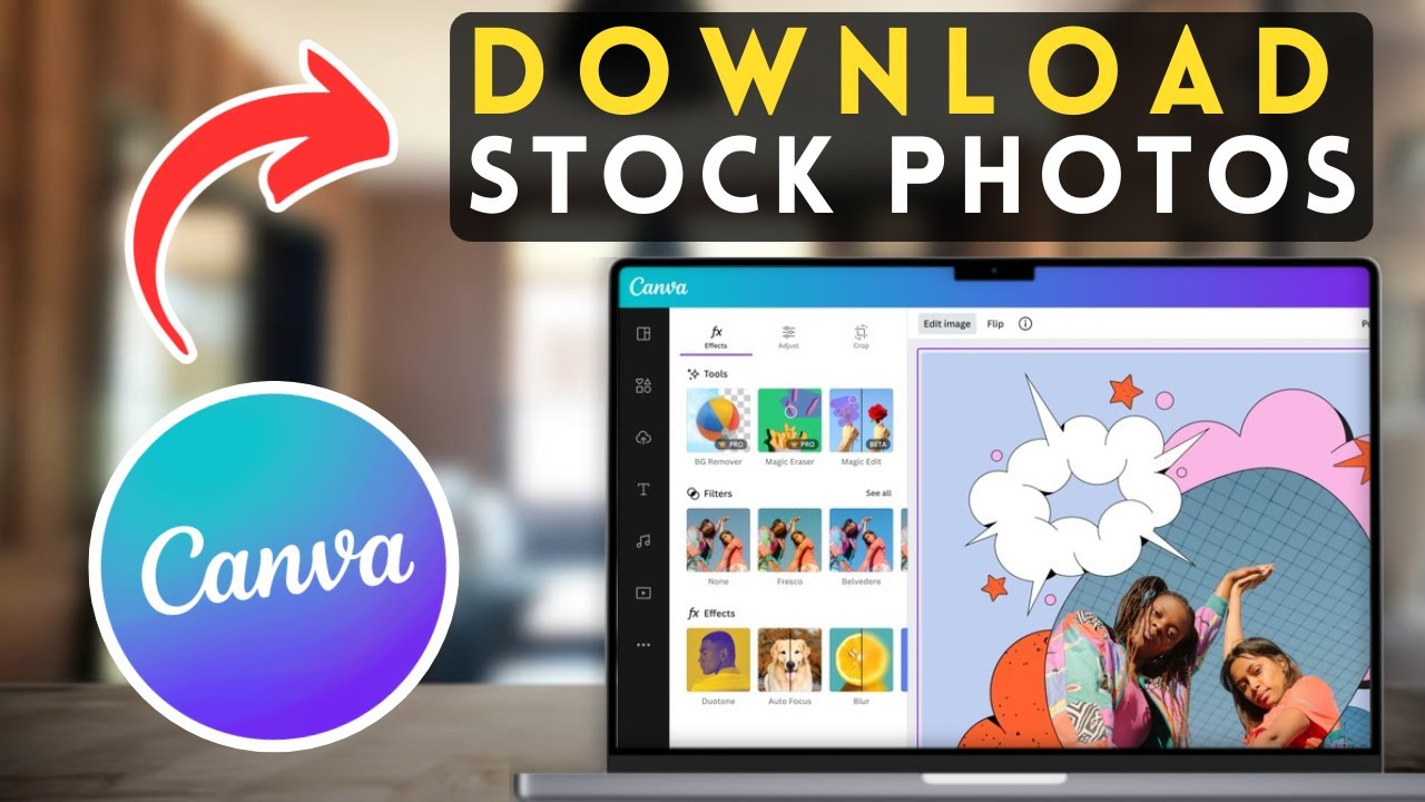 How to Download Stock Photos for Free in Canva | Canva Tutorial (2025 ...
