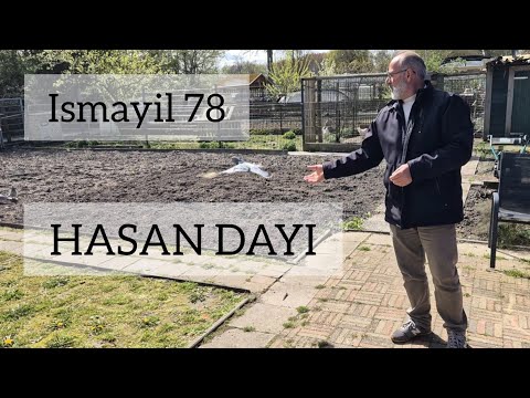 KANÇIK KUŞ  İYİ OLMAZSA! \