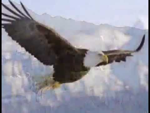 Azerbaijan xalqinin yarali yeri