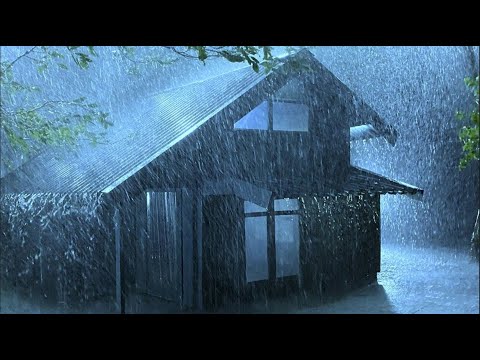 Night Storm Rain at - Heavy Rain & Strong Winds with Thunder Sounds for ...