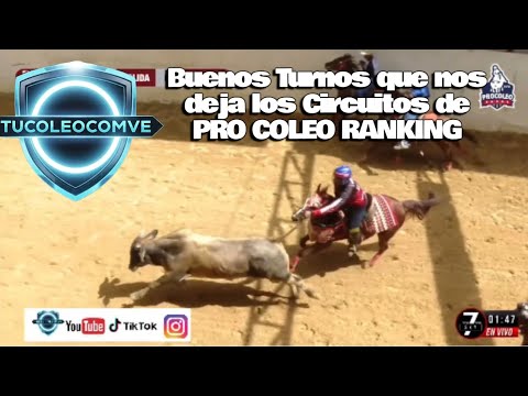 Los Mejores Turnos de Toros Coleados en Vivo de PRO COLEO RANKING - YouTube