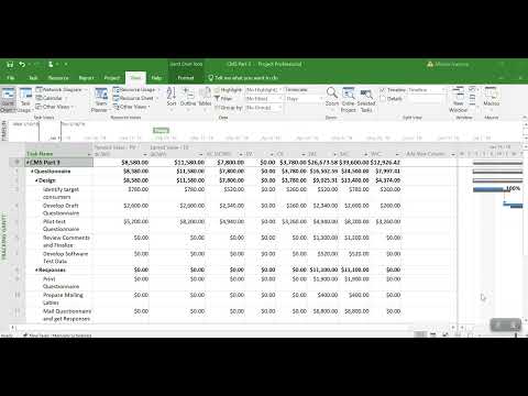 MS Project - Earned Value Reports - YouTube