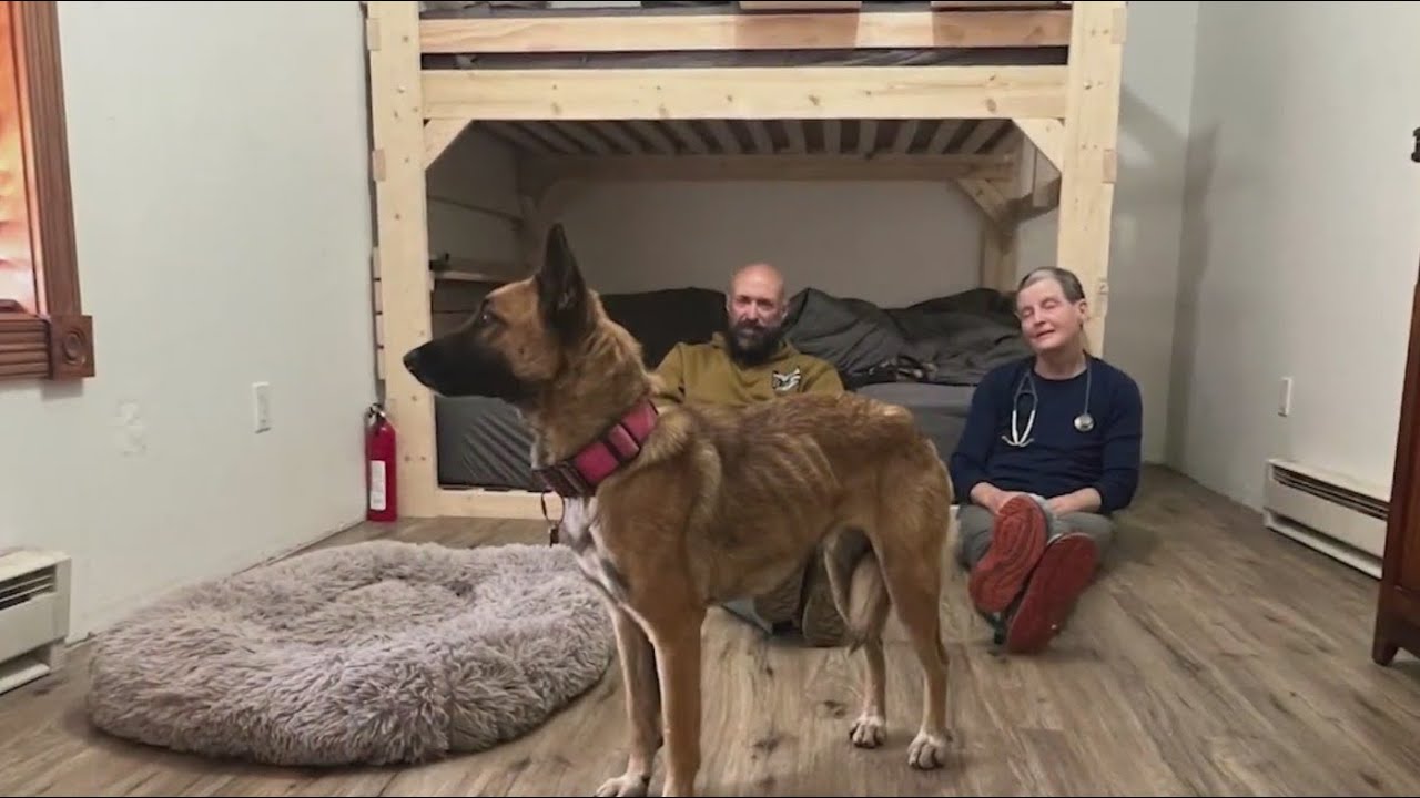 Good Samaritan rescues lost dog from San Juan Mountains - YouTube