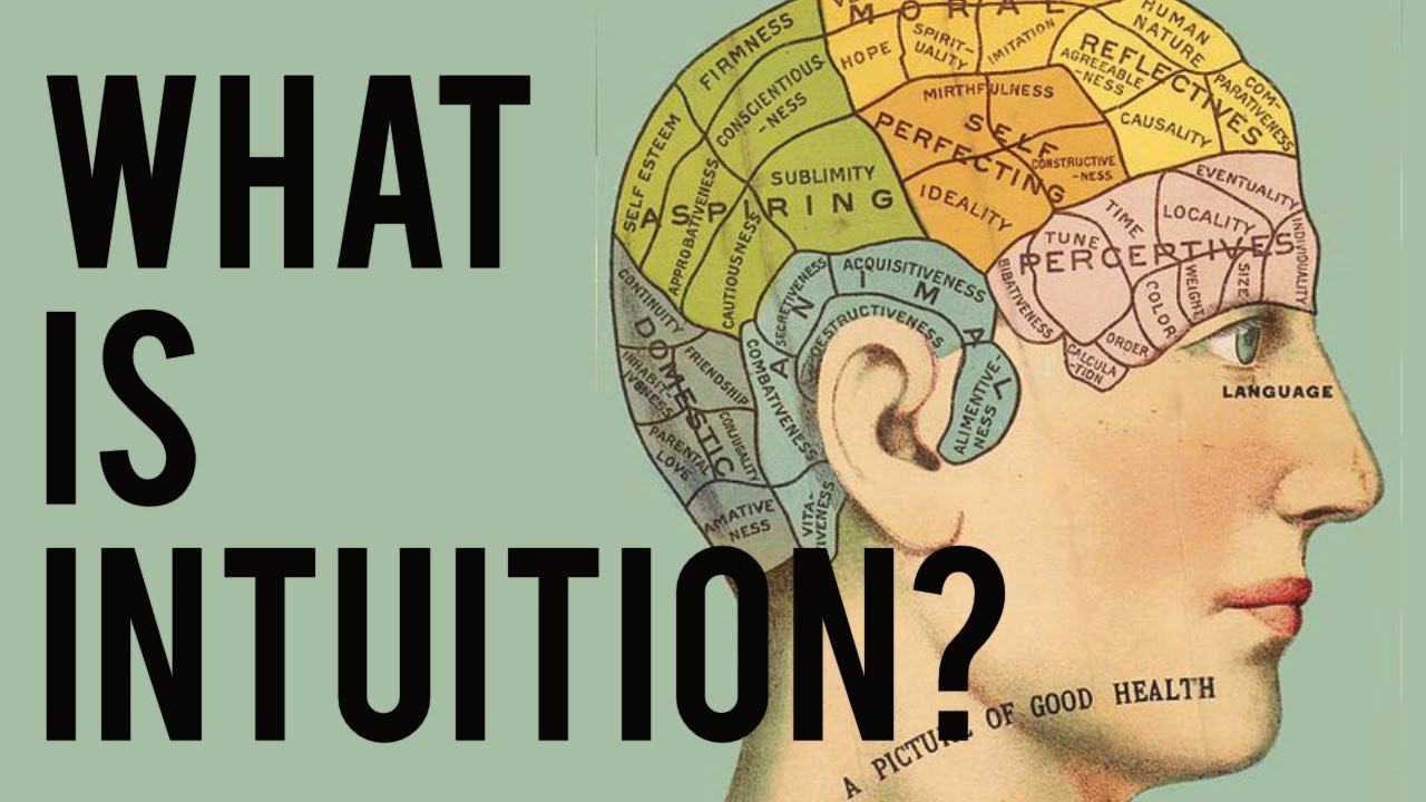 What is INTUITION? - YouTube