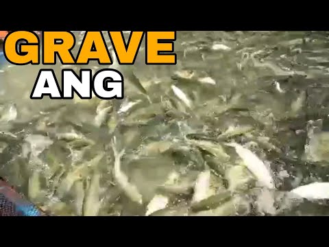 PAMBANSANG ISDA - YouTube