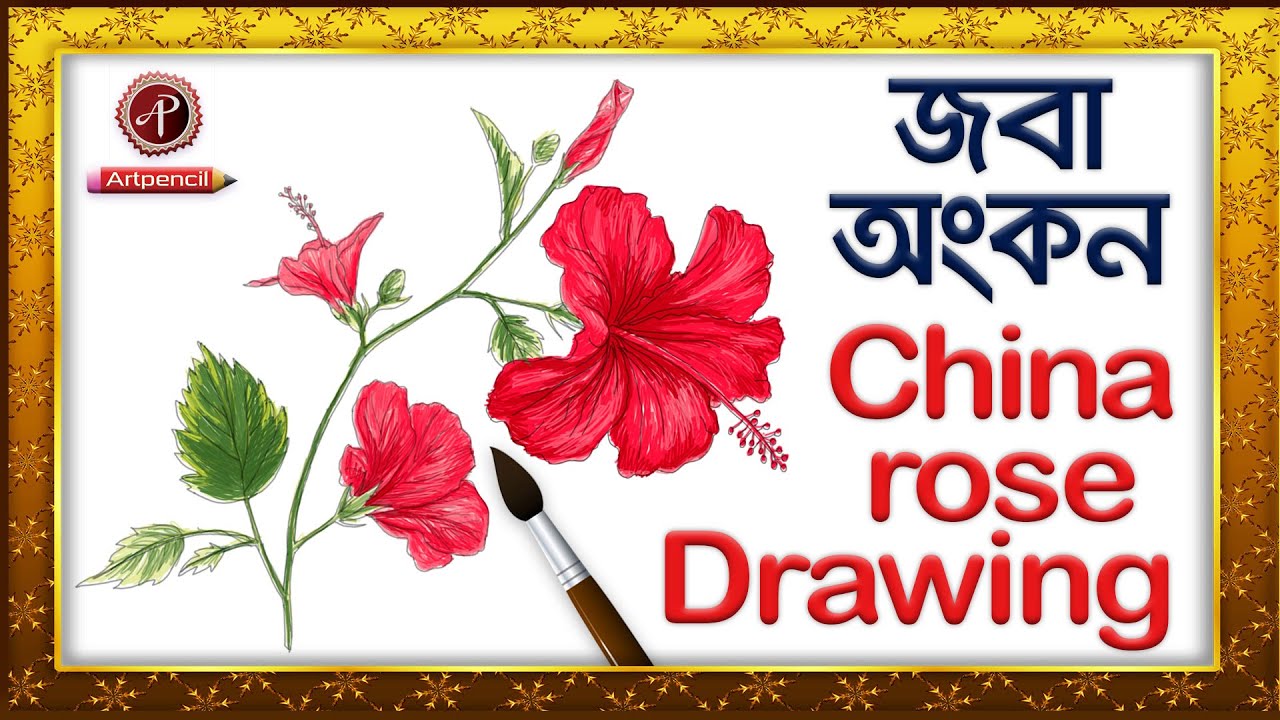 How to draw China Rose or Hibiscus flower 🌺 Joba ful drawing 🌺 জবা ফুল ...