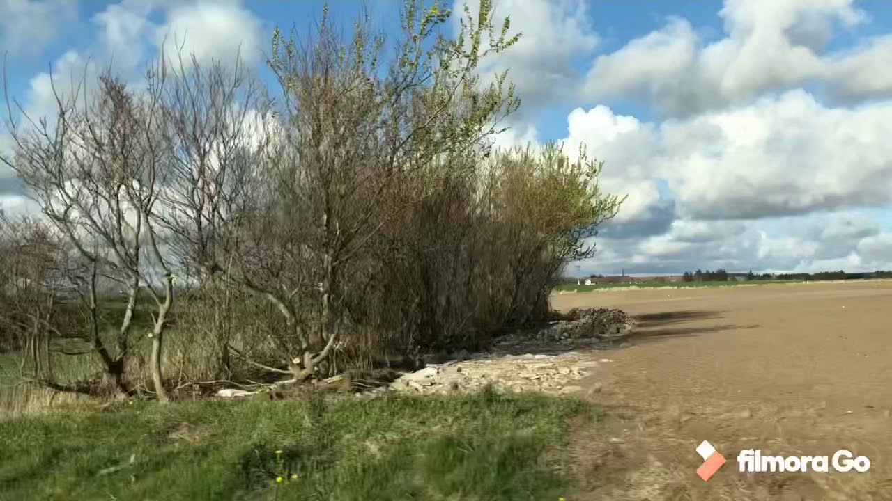 #60 -Norway edition - Beautiful fields of Norway - YouTube