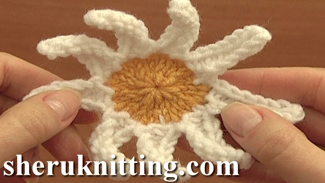 Knitted Daisy Flower Pattern Tutorial 15 Knitting Flower Library - YouTube