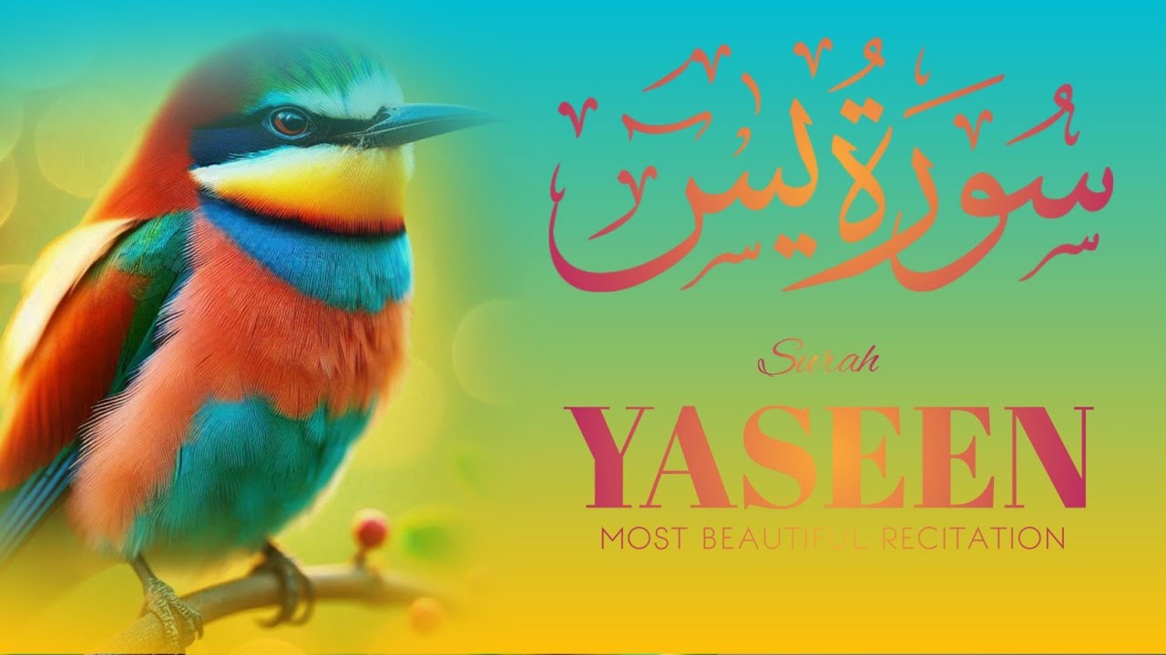 Relaxing Recitation Of Surah Yasin (Yaseen) | Haris Ashraf | سورہ یس ...