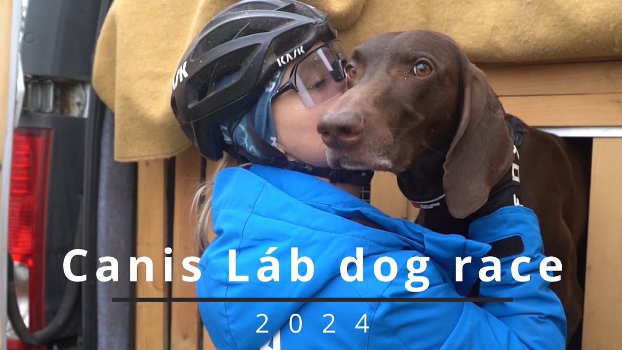 Canis Láb dog race 2024 - YouTube