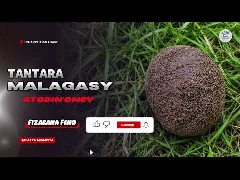 TANTARA MALAGASY - ATODIN'OMBY _ FIZARANA FENO